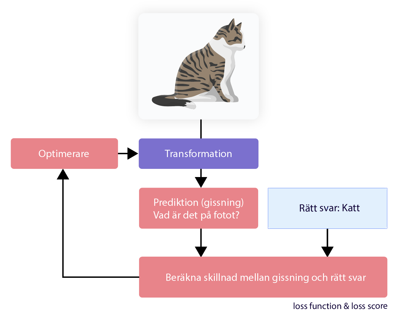 Learning (Inlärning) - Science